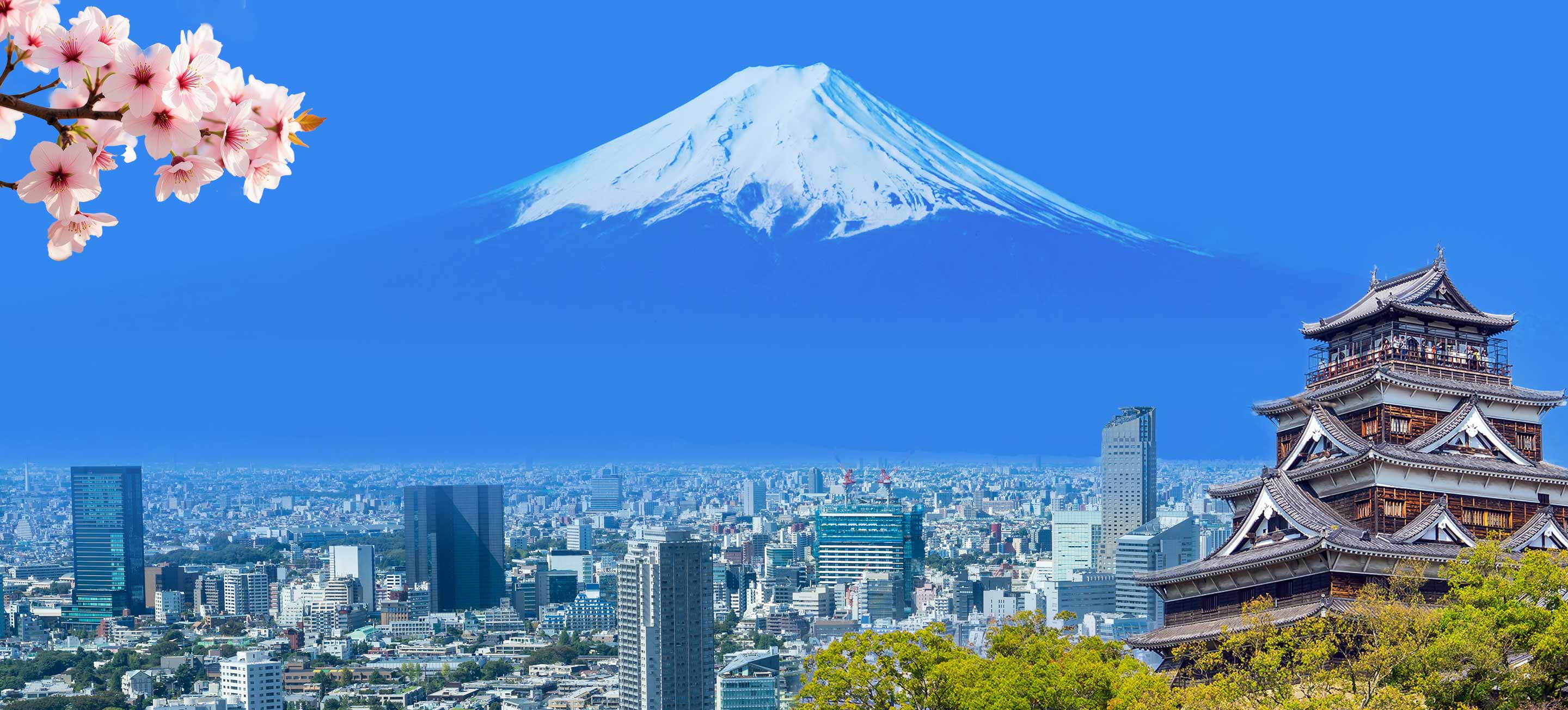 Air China Limited | Flight Tickets Inquiry & Booking, Flights Inquiry ...